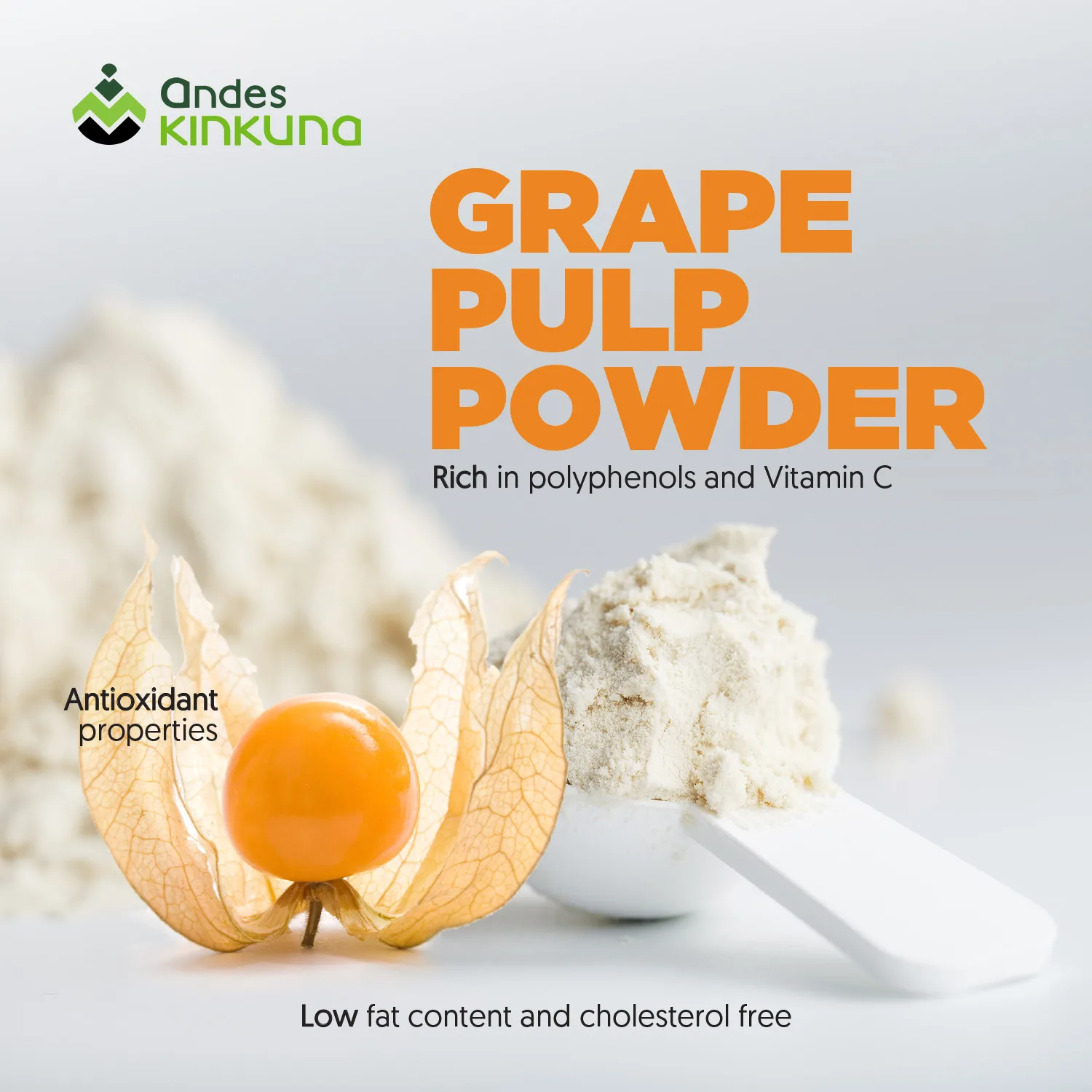 Pulpas de Frutas - Andes Kinkuna